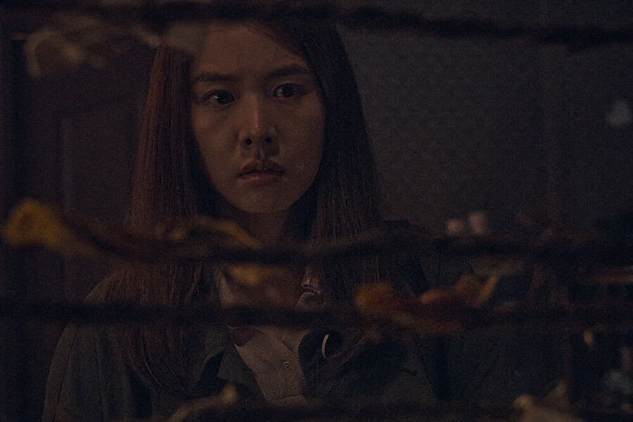 Вечноцветущий сад (2024) – kino, tavsifi, afisha